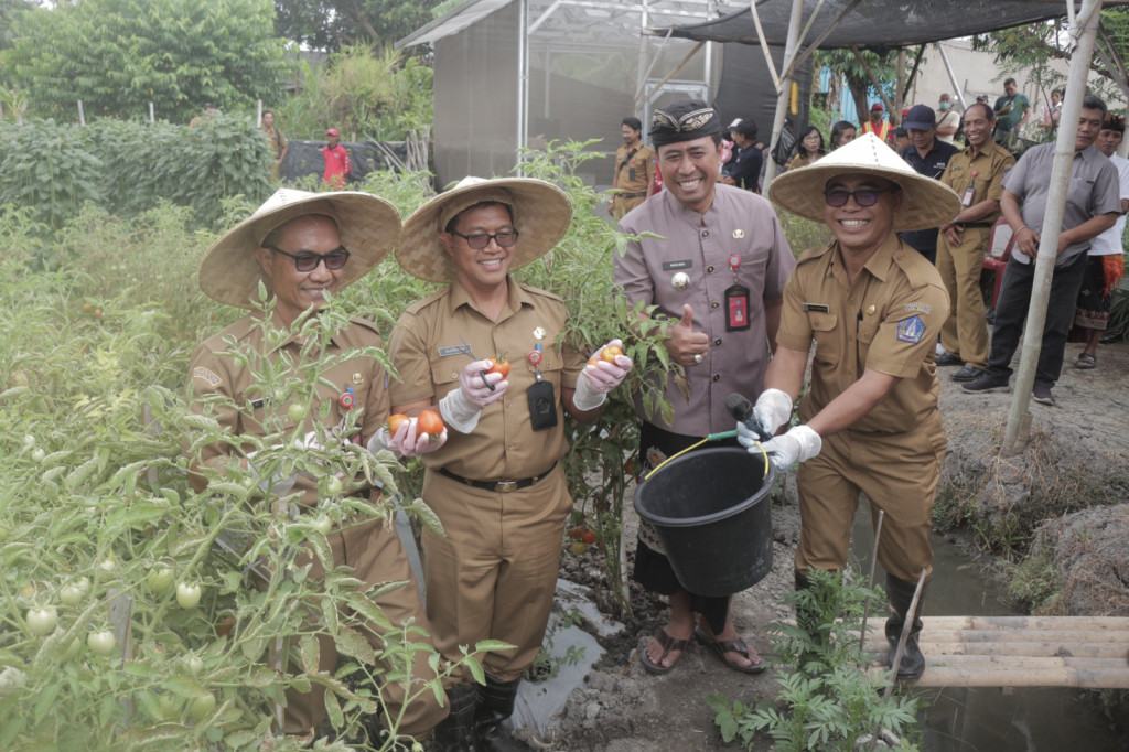 Kegiatan Panen Raya Hasil Kebun dan Ikan Pada Ketahanan Pangan Desa ...